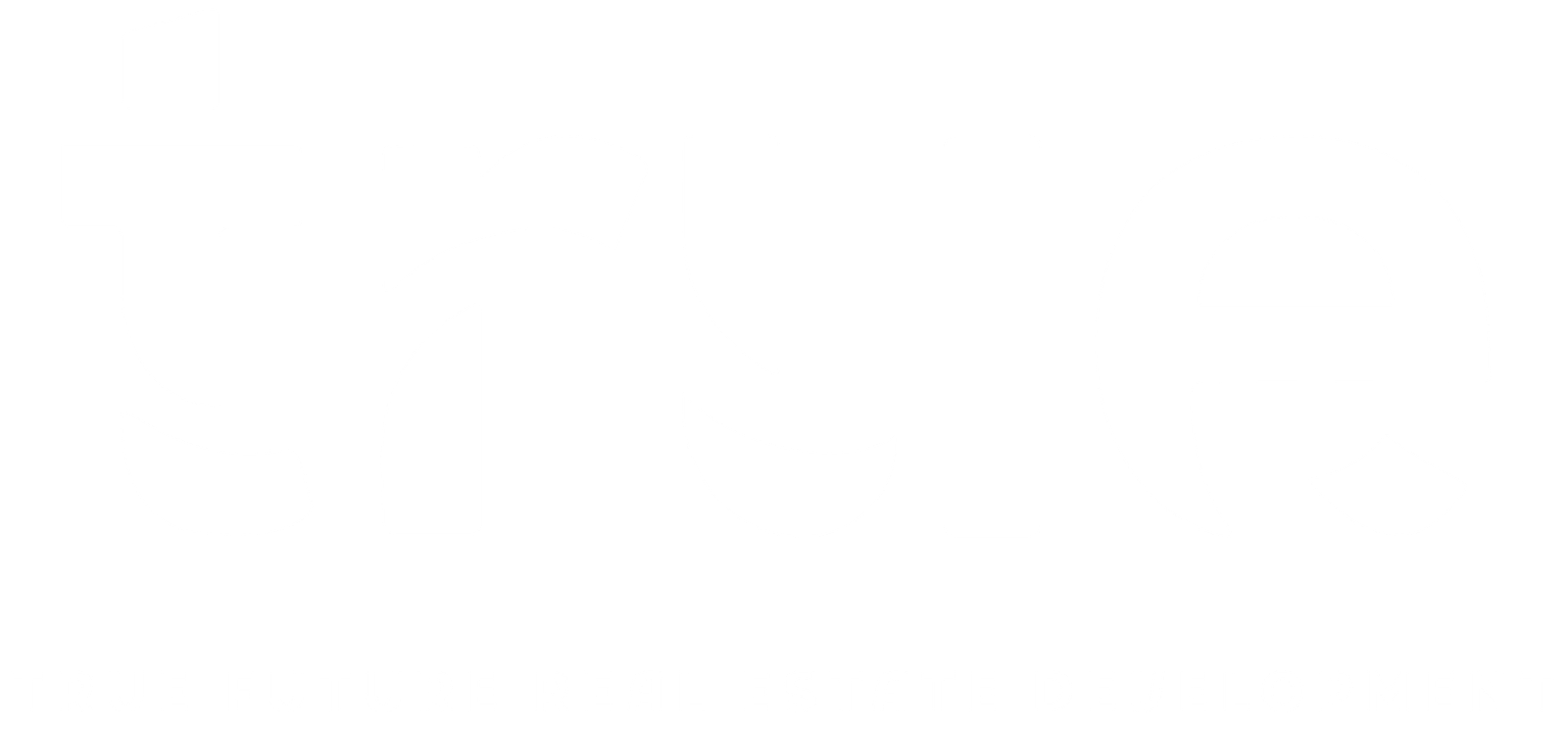Dubai Real Estate | True Future